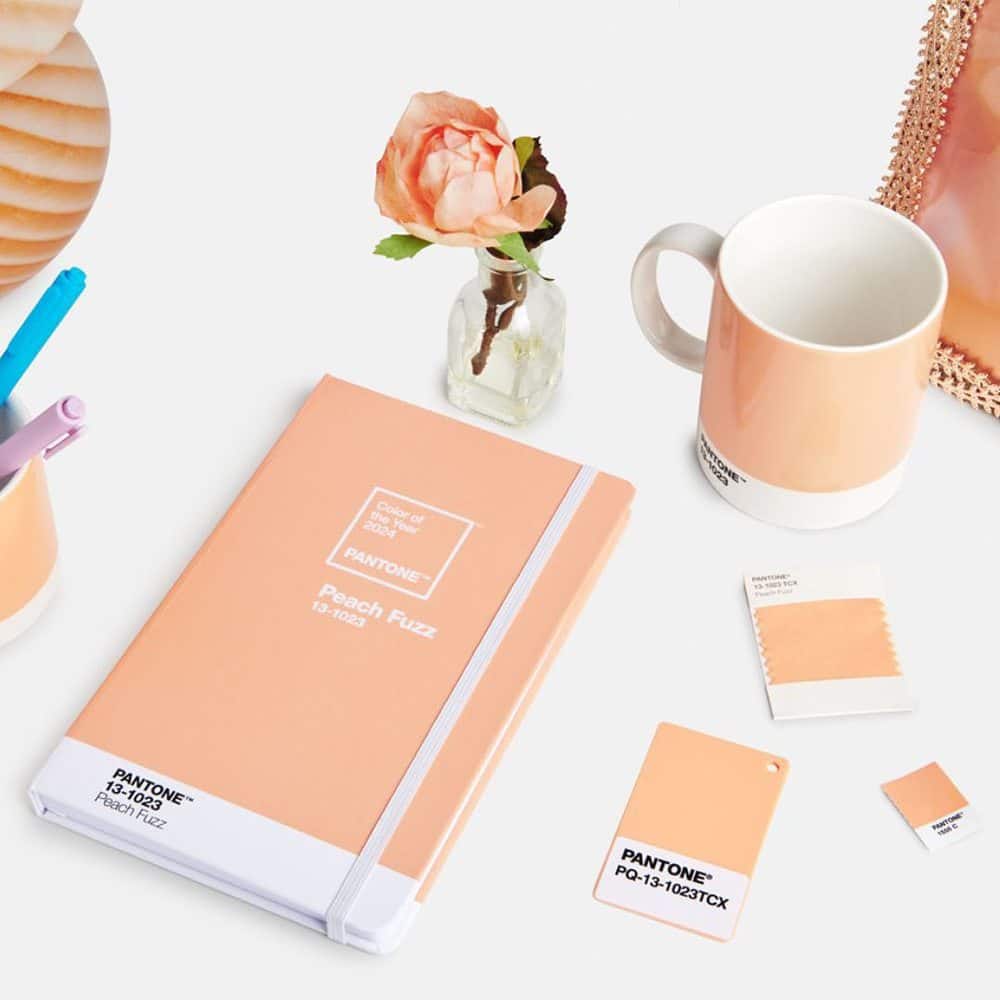PEACH FUZZ, LA NOUVELLE COULEUR 2024 – PROMOSTYL PEACH FUZZ, LA NOUVELLE COULEUR 2024 – PROMOSTYL