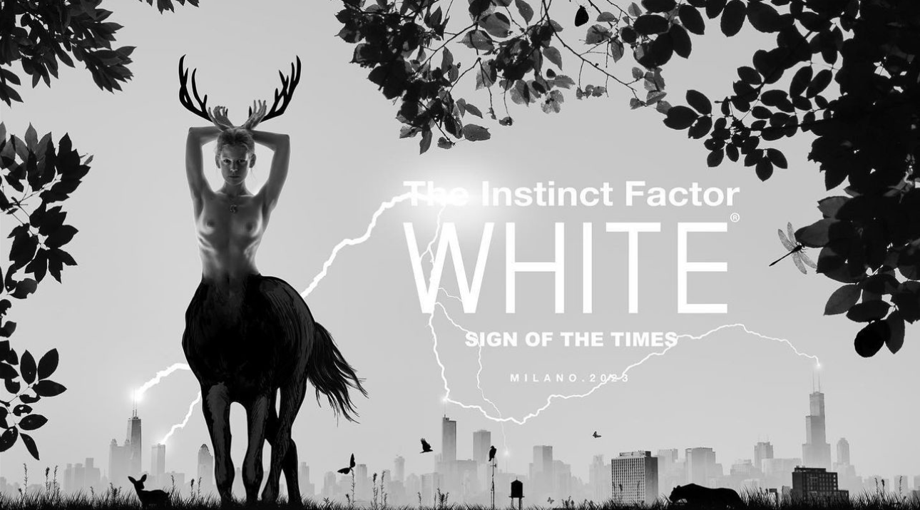 RAPPORT WHITE SHOW – PROMOSTYL